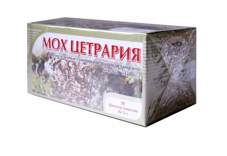 Исландский мох: лечебные свойства и противопоказания
