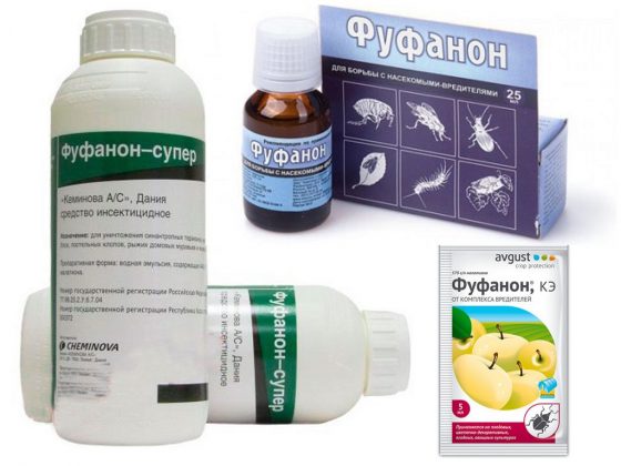 Средство от клопов самое эффективное