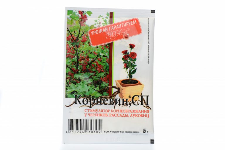 Корневин: инструкция по применению для комнатных растений