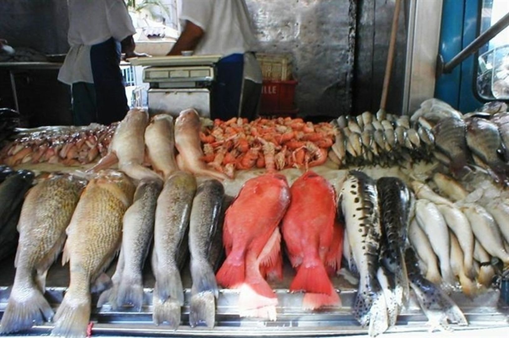 Рыба хоки (макруронус) – 5 вкусных рецептов приготовления